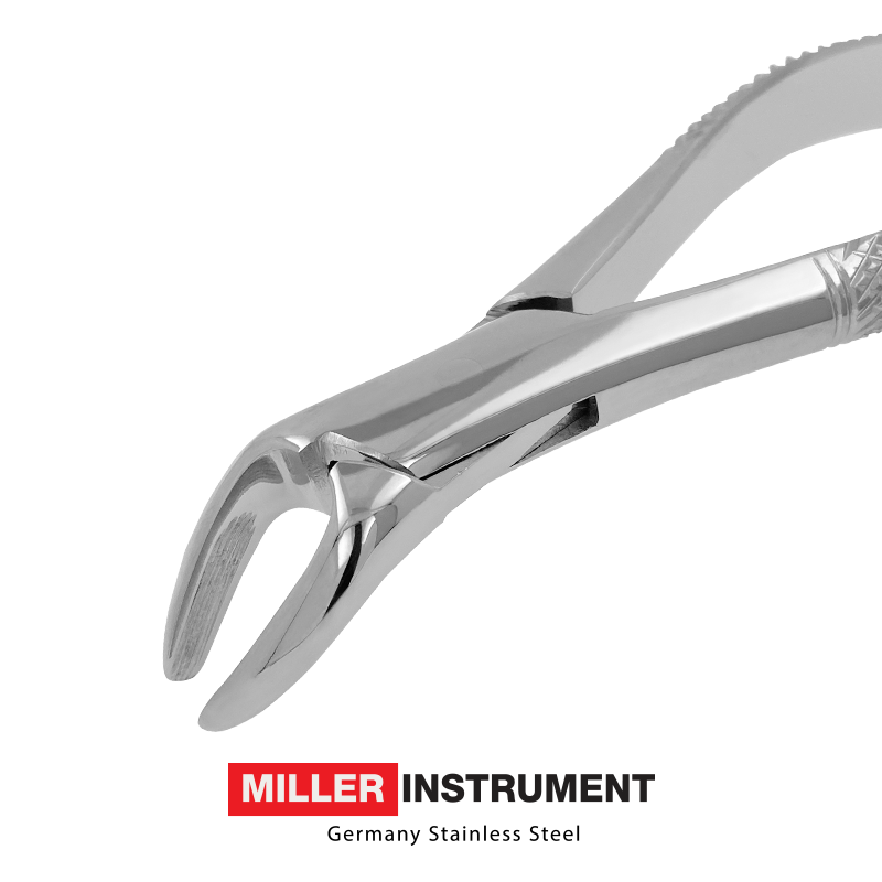 Dental Forceps 151S | Bangkok Dental Supply
